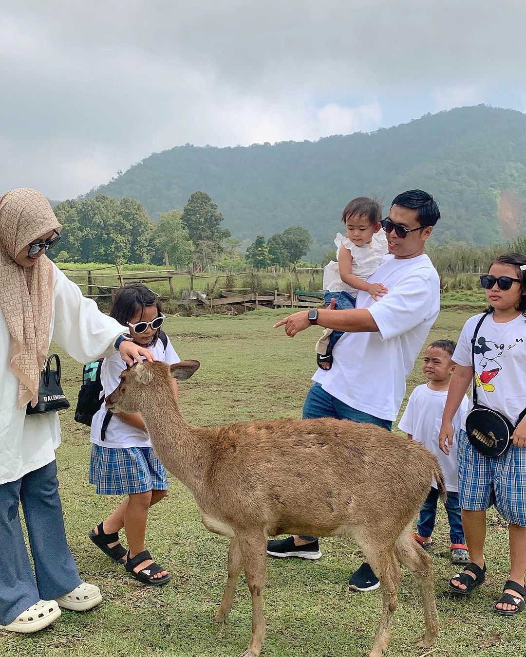 Paket Wisata Ranca Upas Ciwidey dari Jakarta Tahun 2024: Rekomendasi ...